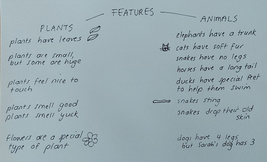 Lesson 1 • Using senses to observe | Primary Connections
